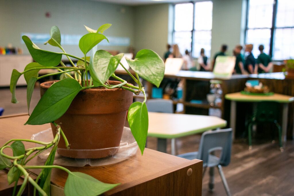 Financial Aid - St Mary School Delaware