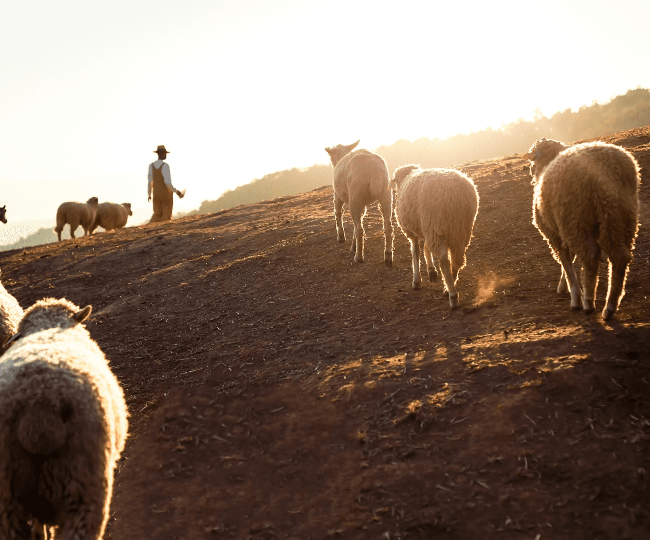 Preschool Program - St Mary School Delaware